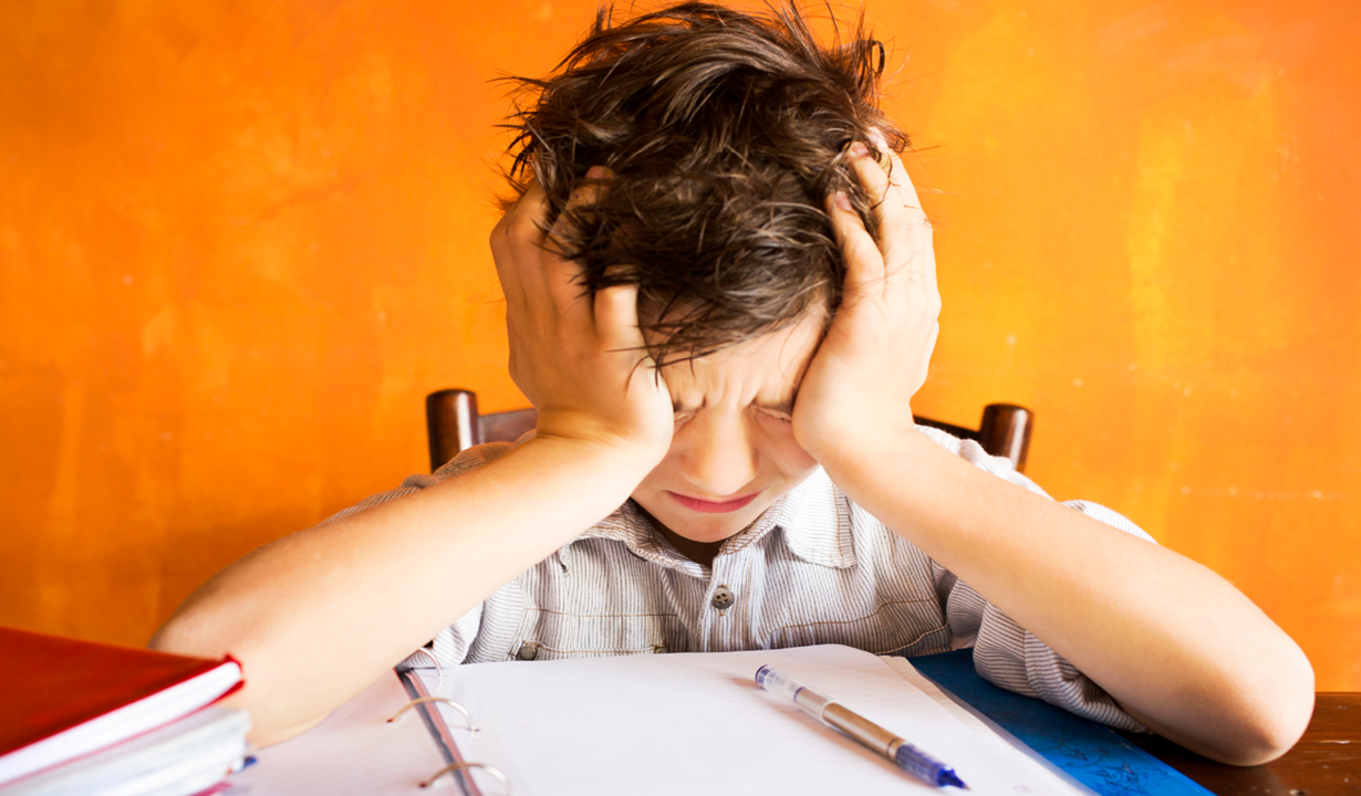 griditems_programs – Learning Matters, Inc.